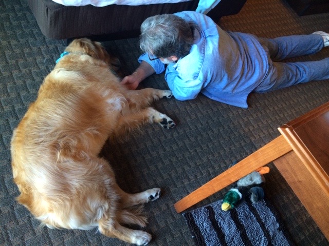 The Very Best Companion – Jerome F.E. (Jerry, Butch) Halverson
